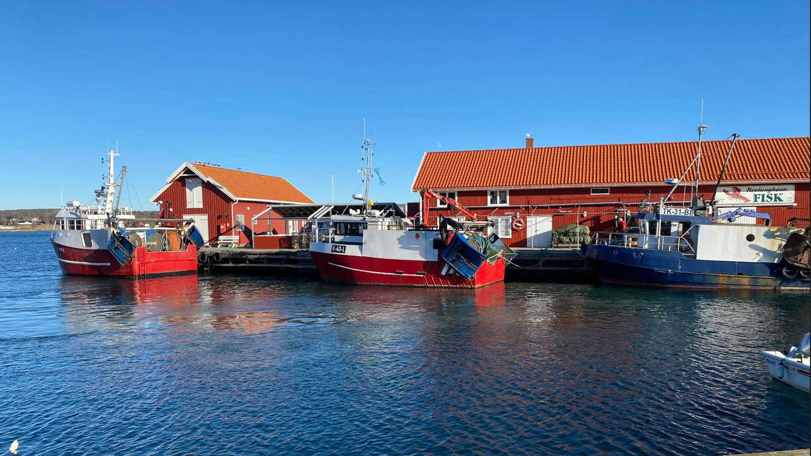 Forsiden - Larvik kommune